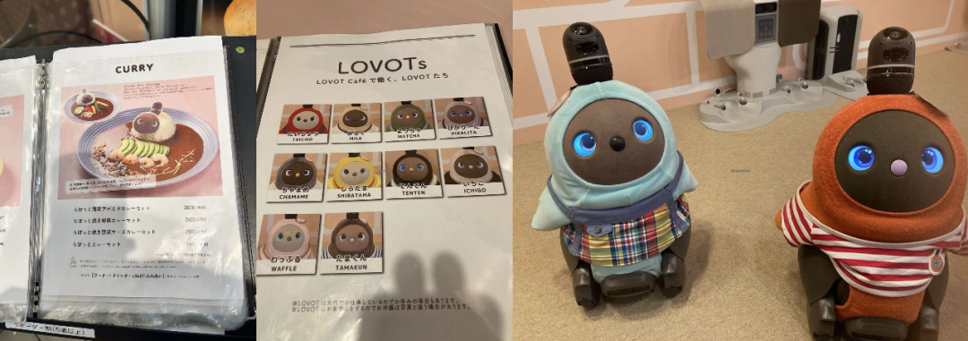 AgeTech丨一台定价7万元！不会做家务的日本家庭机器人LOVOT，正式进军中国市场丨AgeClub